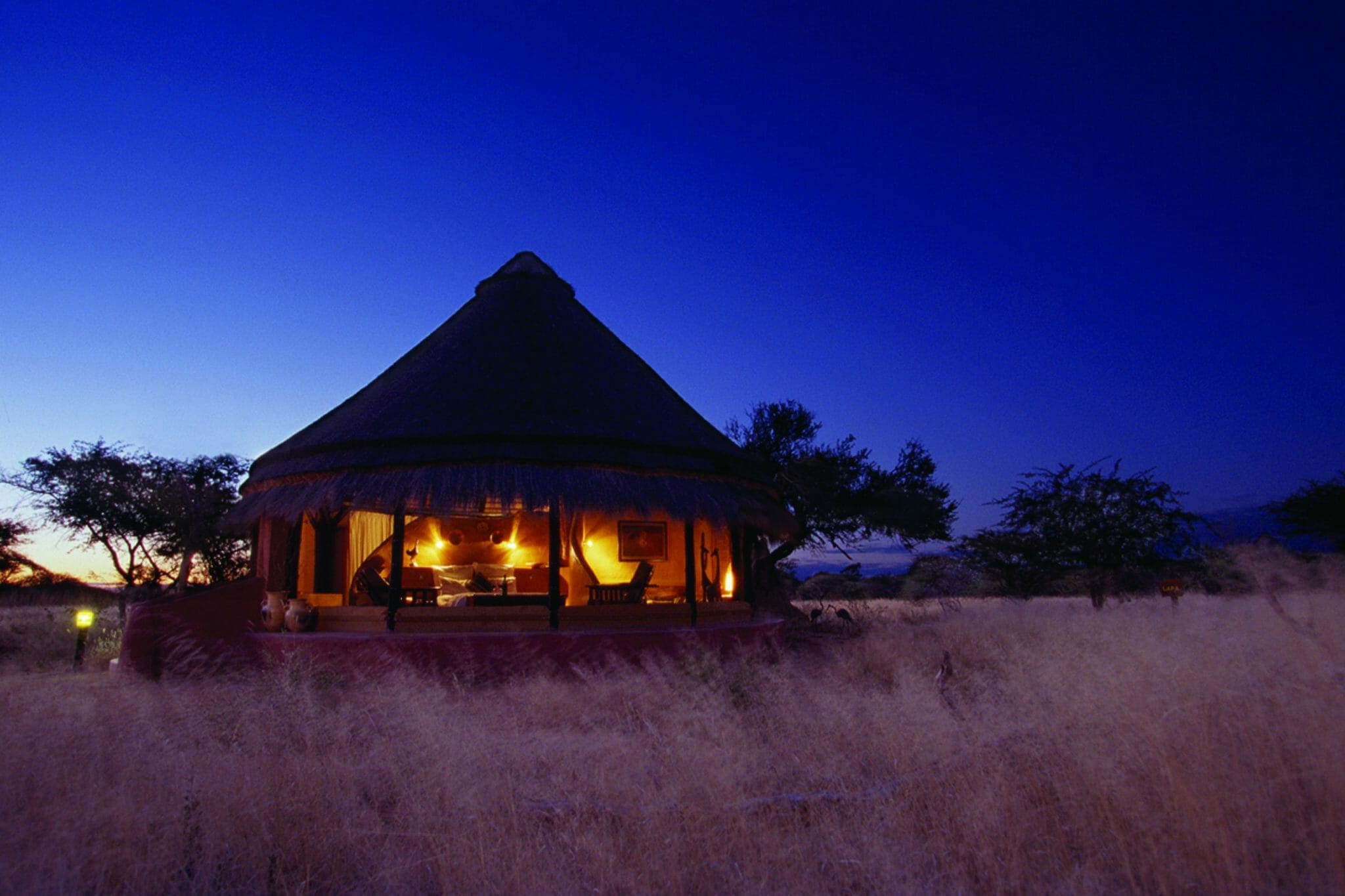 Okonjima Luxury Bush Camp – Untamed Travelling