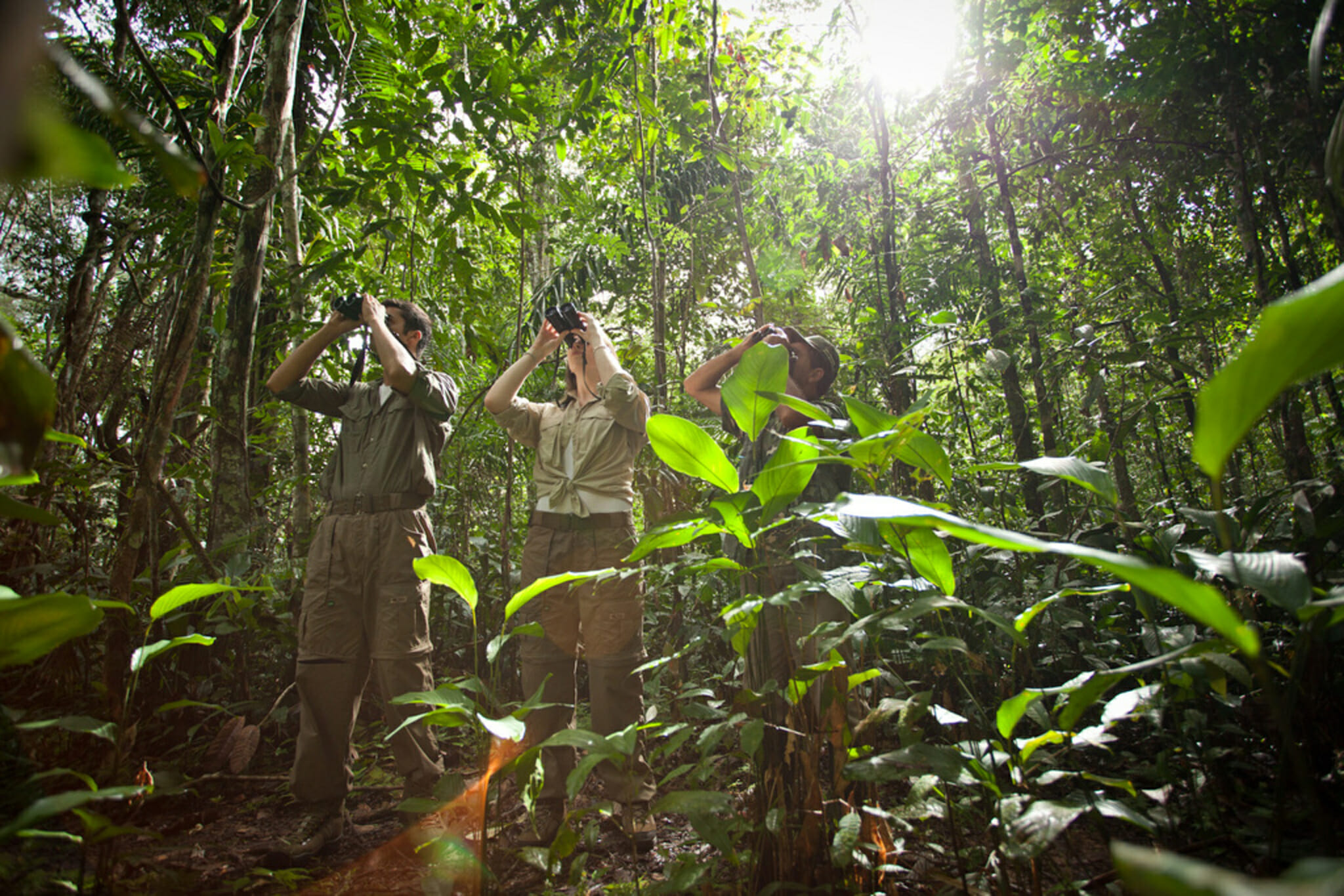 Nature tours Brazil | Travel Brazil | Untamed