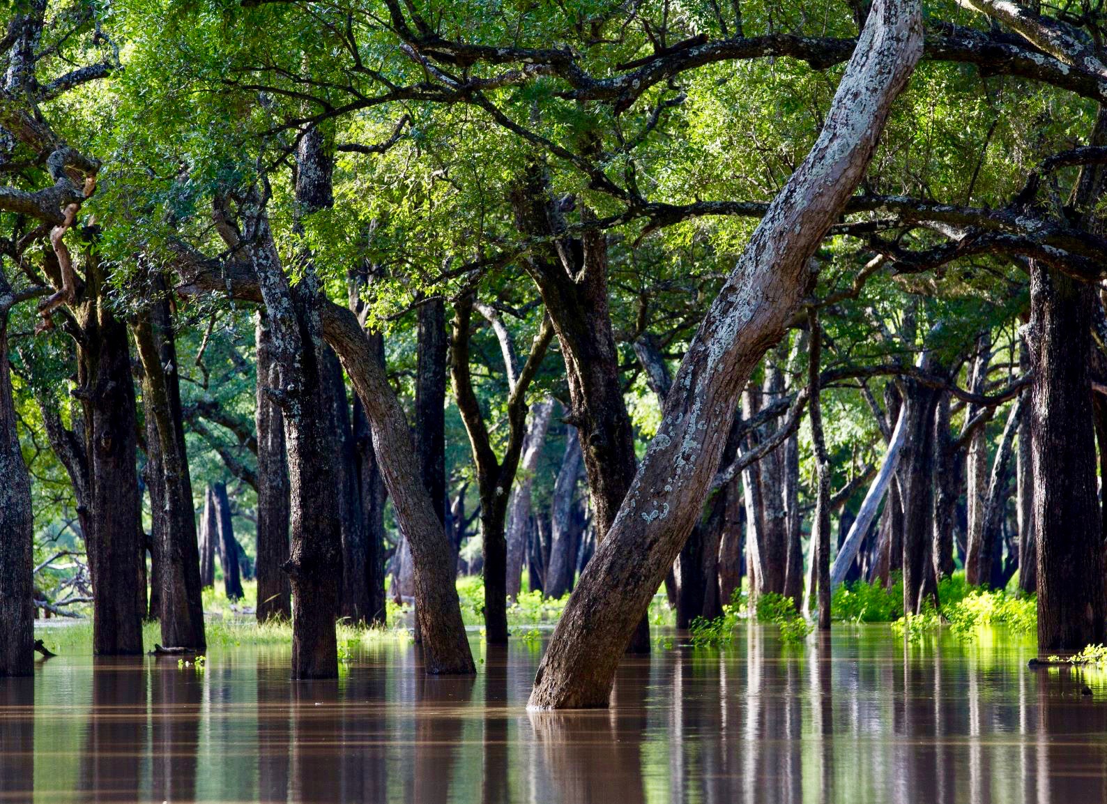 Zambia, Africa Specialist | Untamed Travelling