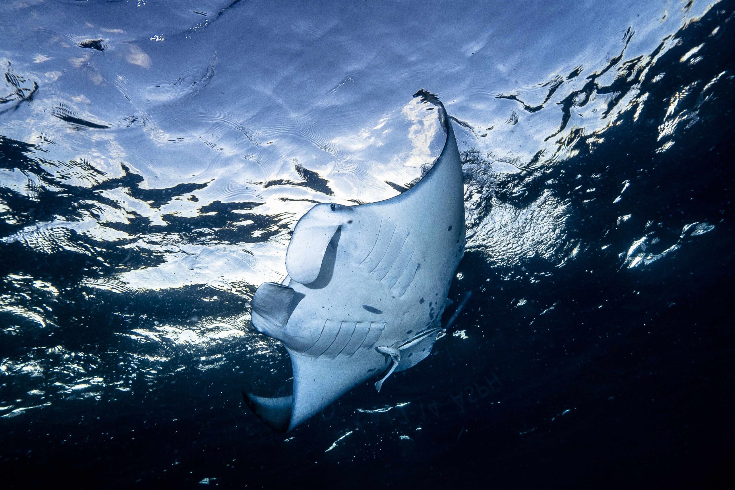 Round trip Comoros: Grande Comore, Mohéli | Untamed Travelling