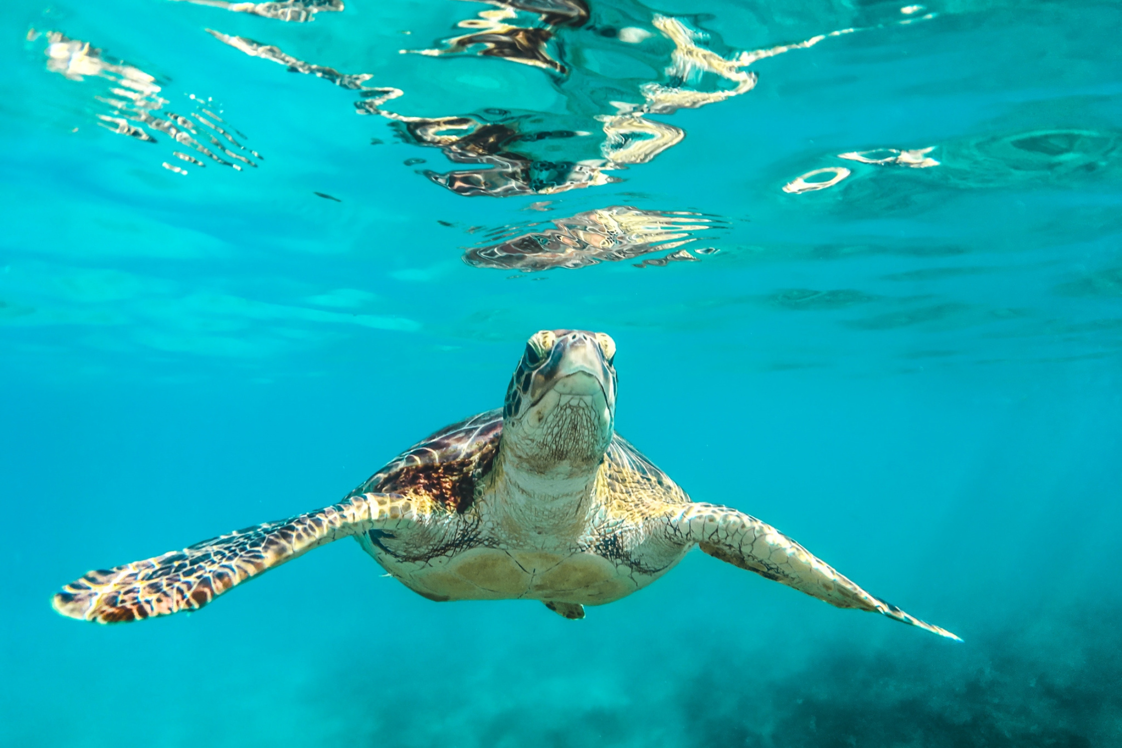 Travelife Partner - Untamed Travelling
